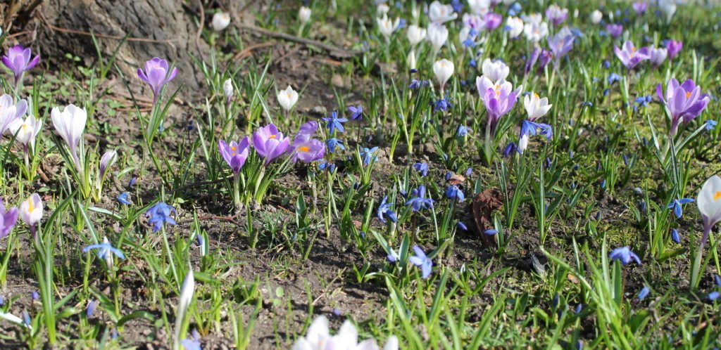 Fruehlingsbilder | Bilder Blog